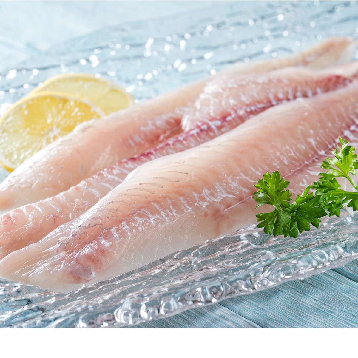 Schellfischfilets | Pazifik | Fisch und Scallops | Seifarth Online Shop